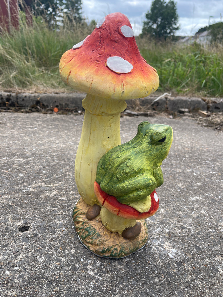 Toad on a Toadstool Garden Ornament – Comfortzone Home Furnishers