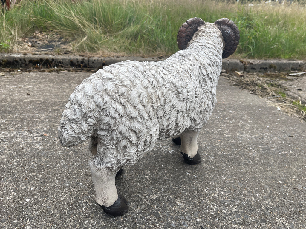Young Ram Garden Ornament – Comfortzone Home Furnishers